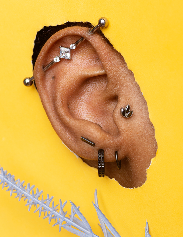 Piercings ... But Fancy – The Piercery